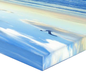 Canvas – SPS Art & Photo