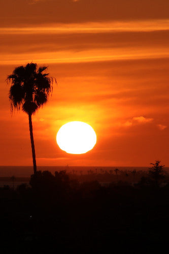 Acrylic Print – SPS Art & Photo